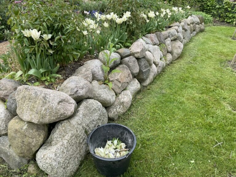 Blomsterbed med blomster fra februar til oktober. Guide til pasning