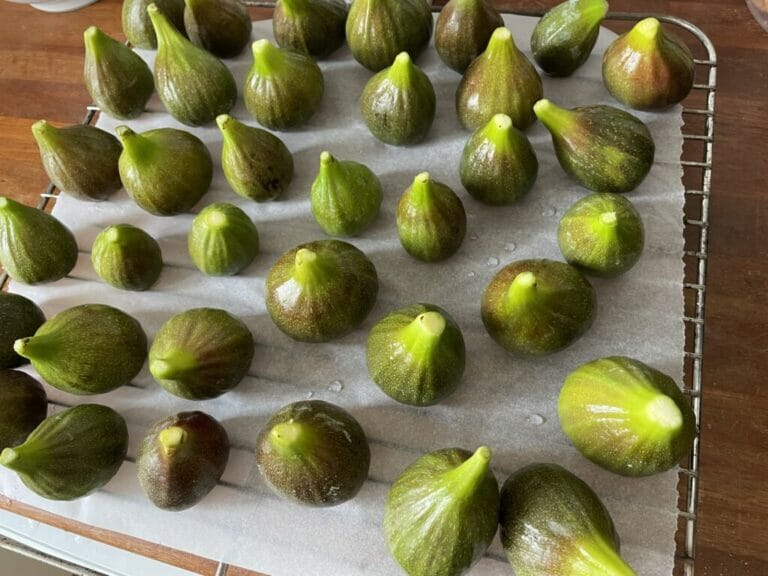 Hvordan tørrer man friske figner i ovn – guide til tørring af figner