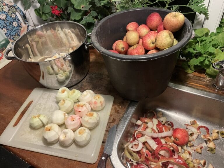 Frysning af æblegrød – guide til at gemme æblegrød NEMT